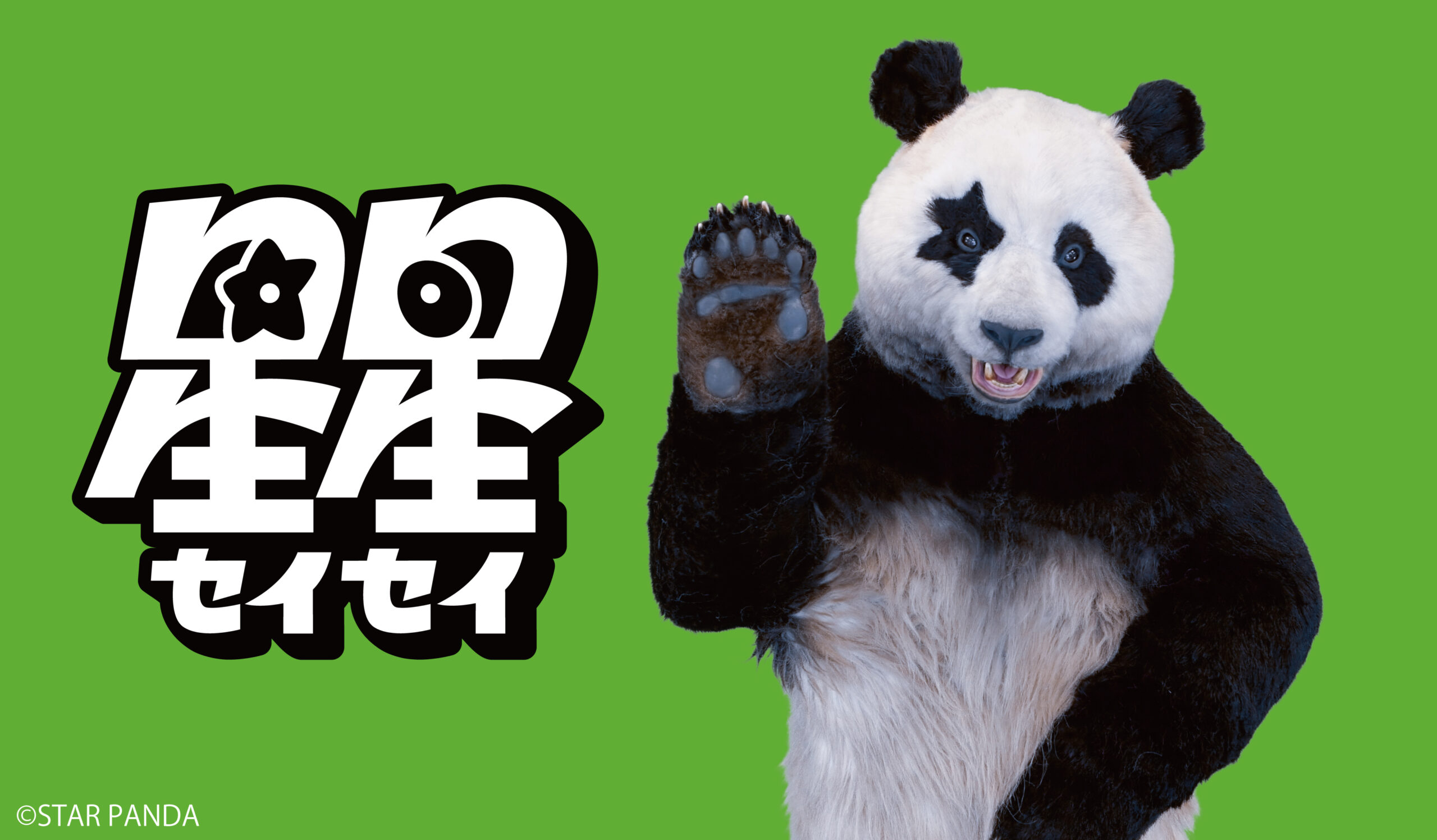 星パンダ 星星 | JUNYA OKABE